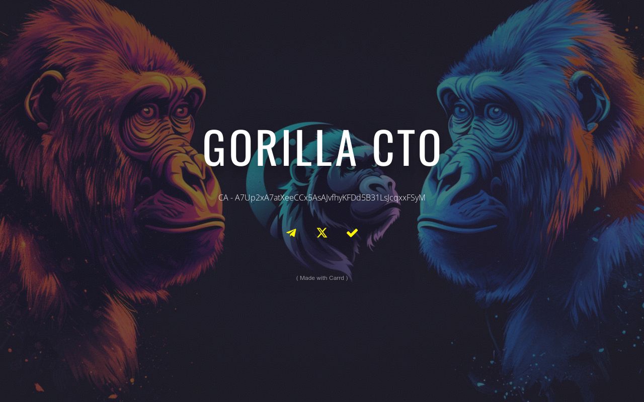 GORILLA CTO